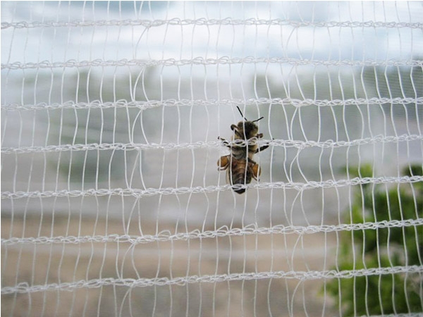 Low Price 20-50 gsm White agricultural anti iect/bee net for wholesale ...