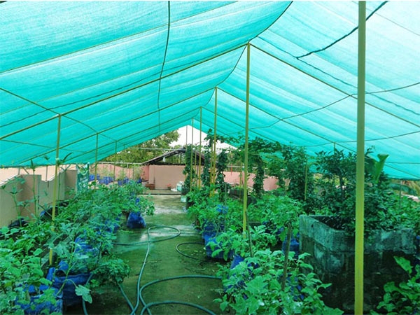 Best Selling 75-90gsm Green suhade net-Shade Net Factory_Custom Shade ...